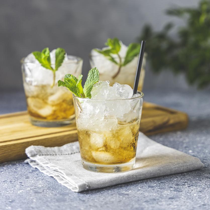 Mint Julep | Atkins Low Carb Diet