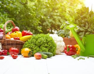 Atkins Blog | Atkins Low Carb Diet